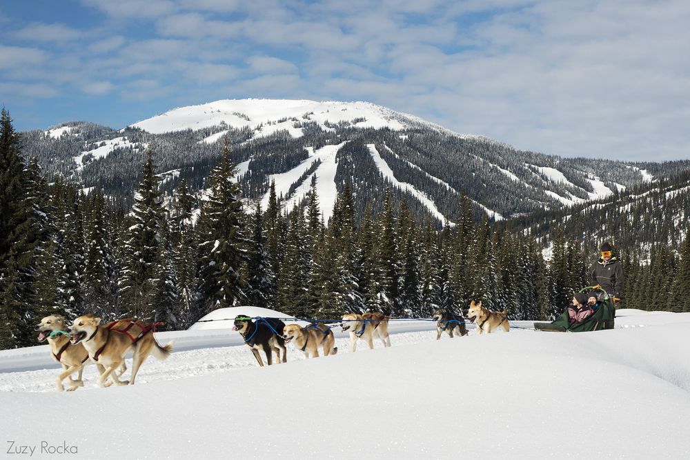 MOUNTAIN MAN DOG SLED ADVENTURES - Updated May 2025 - 1280 Alpine Road ...