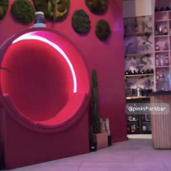 PINK SHARK - Updated August 2025 - 157 Photos & 36 Reviews - 203 N ...