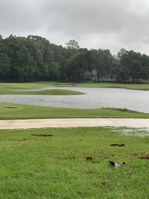 HERITAGE CREEK GOLF CLUB - Updated December 2025 - 21 Reviews - 1949 ...