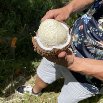 ONO ORGANIC FARMS - Updated August 2024 - 89 Photos & 47 Reviews - 149 ...