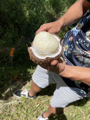 ONO ORGANIC FARMS - Updated July 2025 - 101 Photos & 52 Reviews - 149 ...