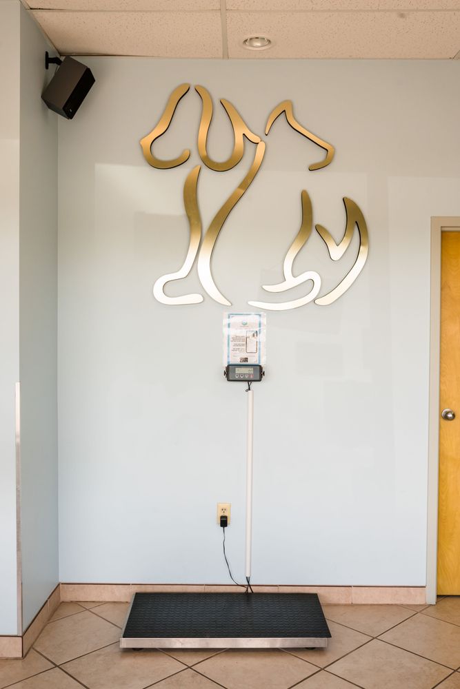 SUBURBAN ANIMAL CLINIC OF MONROE - Updated December 2025 - 10 Photos ...