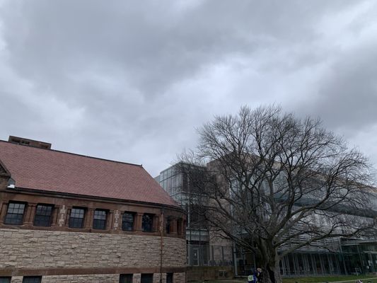 CAMBRIDGE PUBLIC LIBRARY - Updated December 2025 - 60 Photos & 101 ...