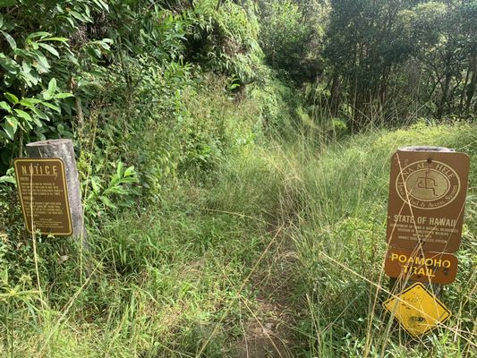 POAMOHO RIDGE TRAIL - Updated September 2024 - 88 Photos & 11 Reviews ...