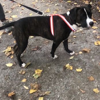 DUFF PARK - Updated January 2026 - 45 Photos & 11 Reviews - 4500 School ...