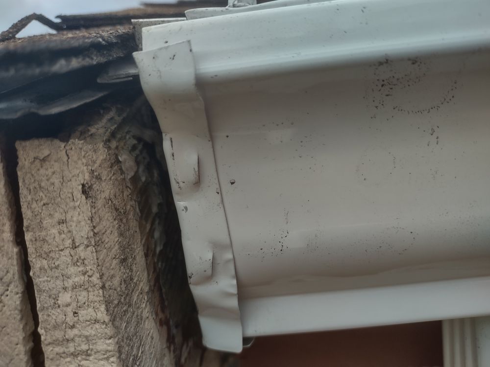 MR GUTTER - Updated October 2025 - 17 Photos & 12 Reviews - 47 Cedar ...