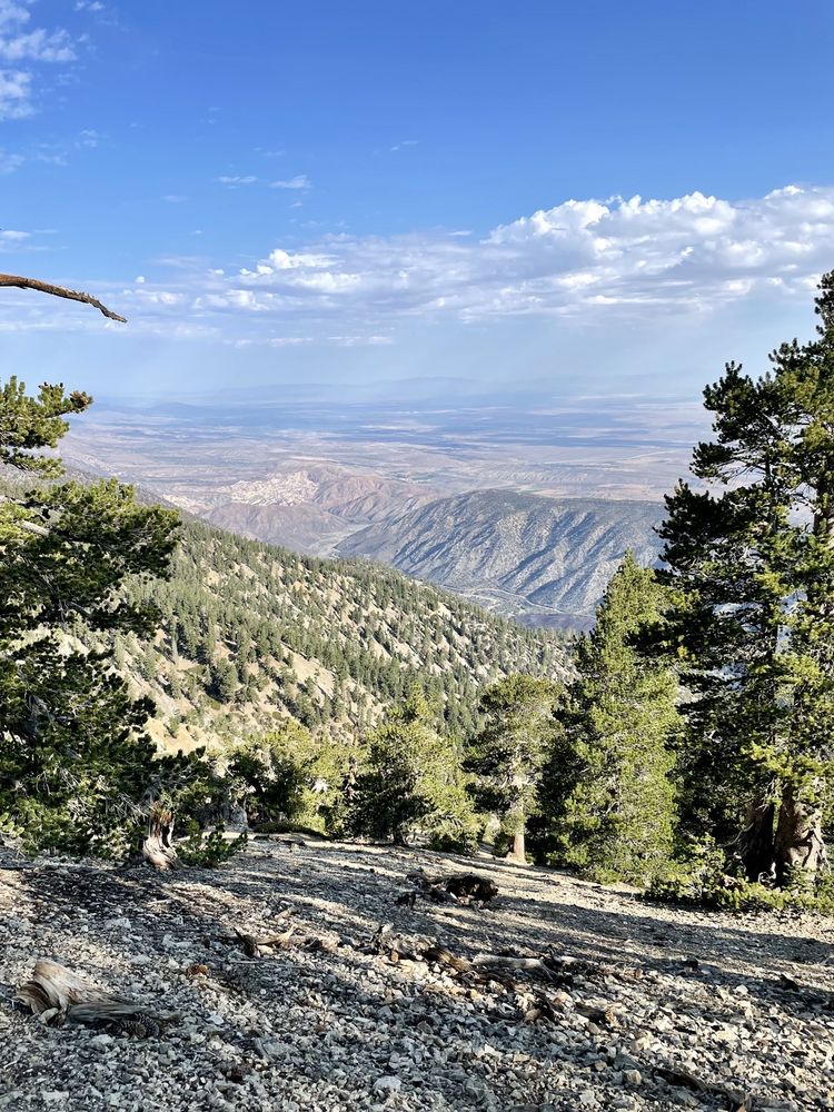 MOUNT BADEN-POWELL TRAIL - 327 Photos & 67 Reviews - Hiking ...