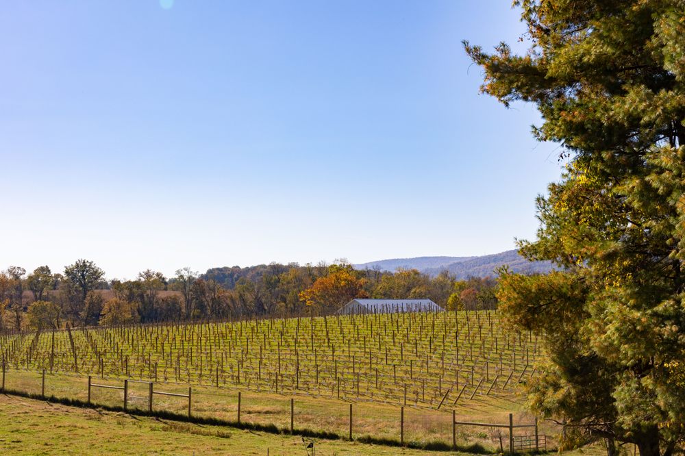 GOOD SPIRIT FARM - Updated November 2024 - 24 Photos & 10 Reviews ...