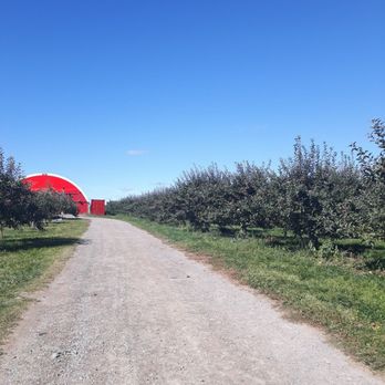 DIXIE ORCHARDS - Updated December 2025 - 53 Photos & 10 Reviews - 14309 ...