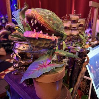 ELIXIR TEA BAR - Updated January 2025 - 1035 Photos & 416 Reviews ...