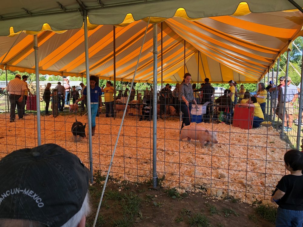 HISTORIC WAGNER FARM - 150 Photos & 54 Reviews - Farmers Market - 1510 ...