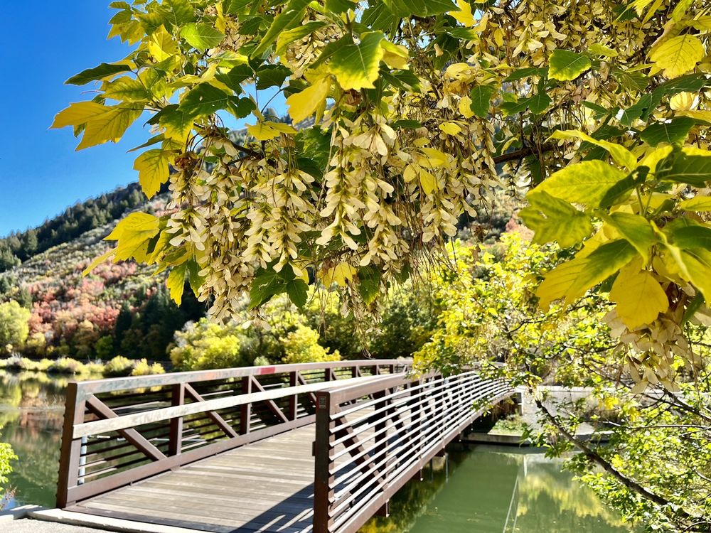 CASCADE SPRINGS - Updated October 2025 - 115 Photos - Cascade Scenic Dr ...