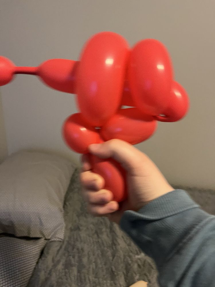 BALLOON KINGDOM - Updated October 2025 - Request a Quote - Appleton ...