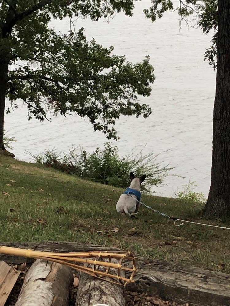 CHESTER FROST PARK | 49 Photos & 18 Reviews | 7872 Causeway Rd, Hixson ...