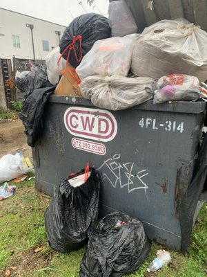 COMMUNITY WASTE DISPOSAL - Updated December 2025 - 24 Photos & 58 ...