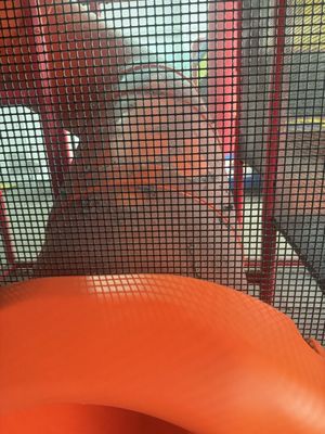 WALLABIES - Updated May 2026 - 23 Photos & 16 Reviews - 3102 Hanover Rd ...