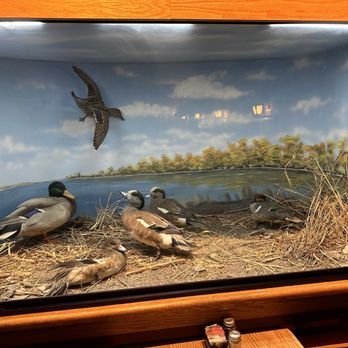 TASTE OF TEXAS BBQ- MCCOOK - Updated July 2025 - 27 Reviews - 112 W ...