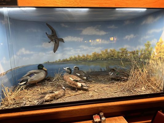 TASTE OF TEXAS BBQ- MCCOOK - Updated August 2025 - 26 Reviews - 112 W ...