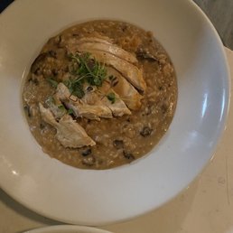 SAVI CUCINA + WINE BAR - Updated July 2025 - 484 Photos & 292 Reviews ...