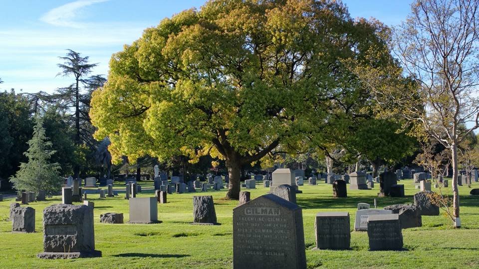 MOUNTAIN VIEW MORTUARY & CEMETERY - Updated January 2025 - 105 Photos ...