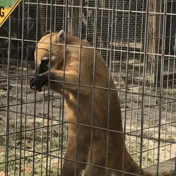 SINGLE VISION SANCTUARY - Updated December 2024 - 14 Photos & 14 ...