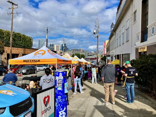 MUTTVILLE SENIOR DOG RESCUE - Updated January 2026 - 356 Photos & 172 ...