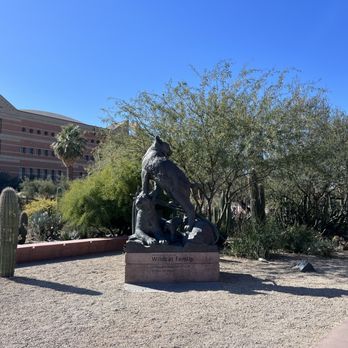THE UNIVERSITY OF ARIZONA - Updated May 2026 - 191 Photos & 98 Reviews ...