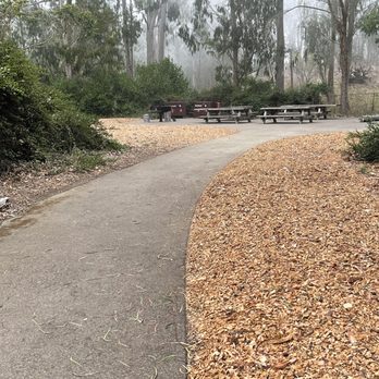 ROB HILL CAMPGROUND - Updated August 2025 - 34 Photos - Washington Blvd ...