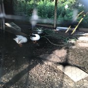 NORMAN J LEVY PARK & PRESERVE - 458 Photos & 59 Reviews - 1600 Merrick ...