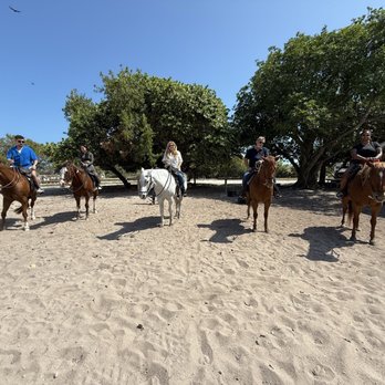 PALOMINO RANCH & TOURS - Updated January 2026 - 48 Photos & 19 Reviews ...