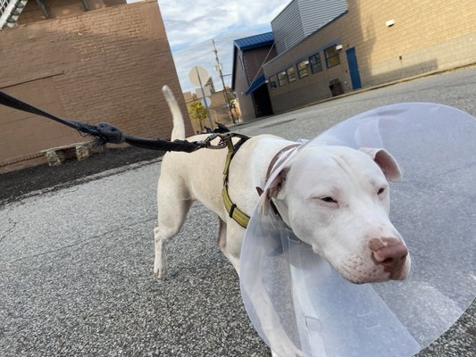 HUMANE ANIMAL RESCUE - Updated October 2025 - 48 Photos & 55 Reviews ...