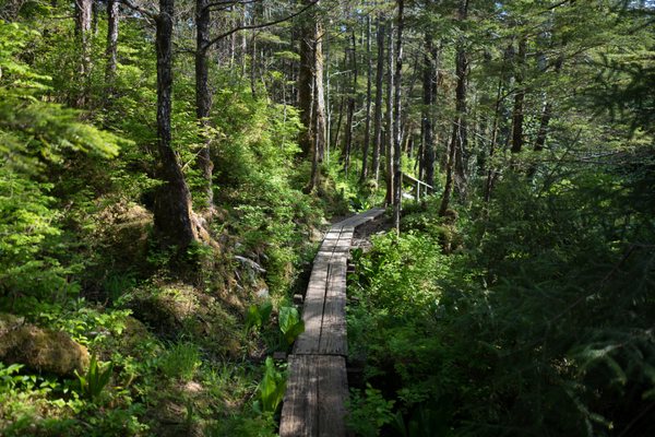 INDIAN RIVER TRAIL - Updated May 2026 - 14 Photos - Indian River Trl ...