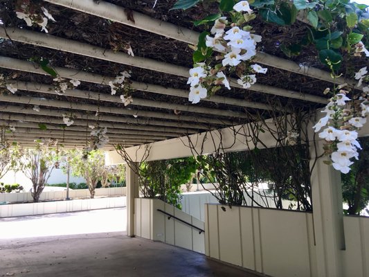 NANIWA GARDENS - Updated December 2025 - 6750 Hawaii Kai Dr, Honolulu ...