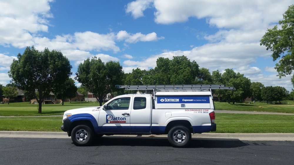 PATTON TERMITE & PEST CONTROL - Updated August 2024 - 36 Photos - 7920 ...