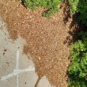 GUD COMMUNITY MANAGEMENT - Updated October 2025 - 88 Reviews - 4135 S ...