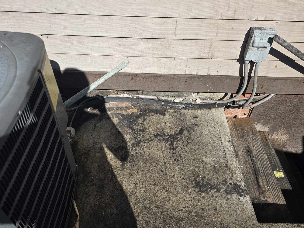 ADVANCED PRIORITY PROTECTION - Updated October 2025 - 13 Photos ...