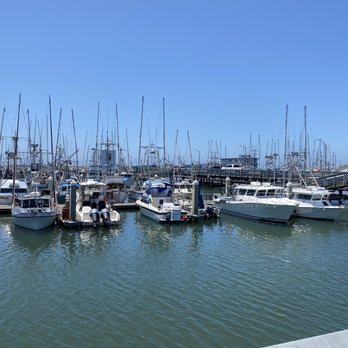 PILLAR POINT HARBOR - Updated June 2024 - 1411 Photos & 113 Reviews - 1 ...