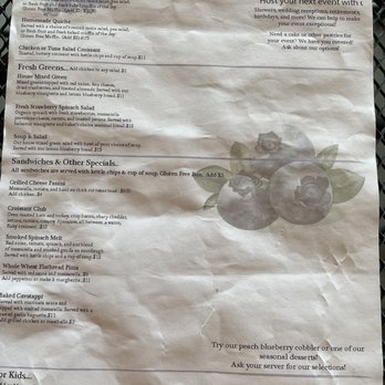 THE BLUEBERRY PATCH - Updated August 2025 - 89 Photos & 55 Reviews ...