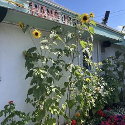 PICK-QUICK DRIVE IN - Updated July 2025 - 378 Photos & 427 Reviews ...