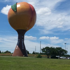 PEACHOID WATER TOWER - 45 Photos & 37 Reviews - North Side Of I-85 ...