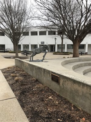 DELAWARE VALLEY UNIVERSITY - Updated December 2025 - 12 Photos - 700 E ...