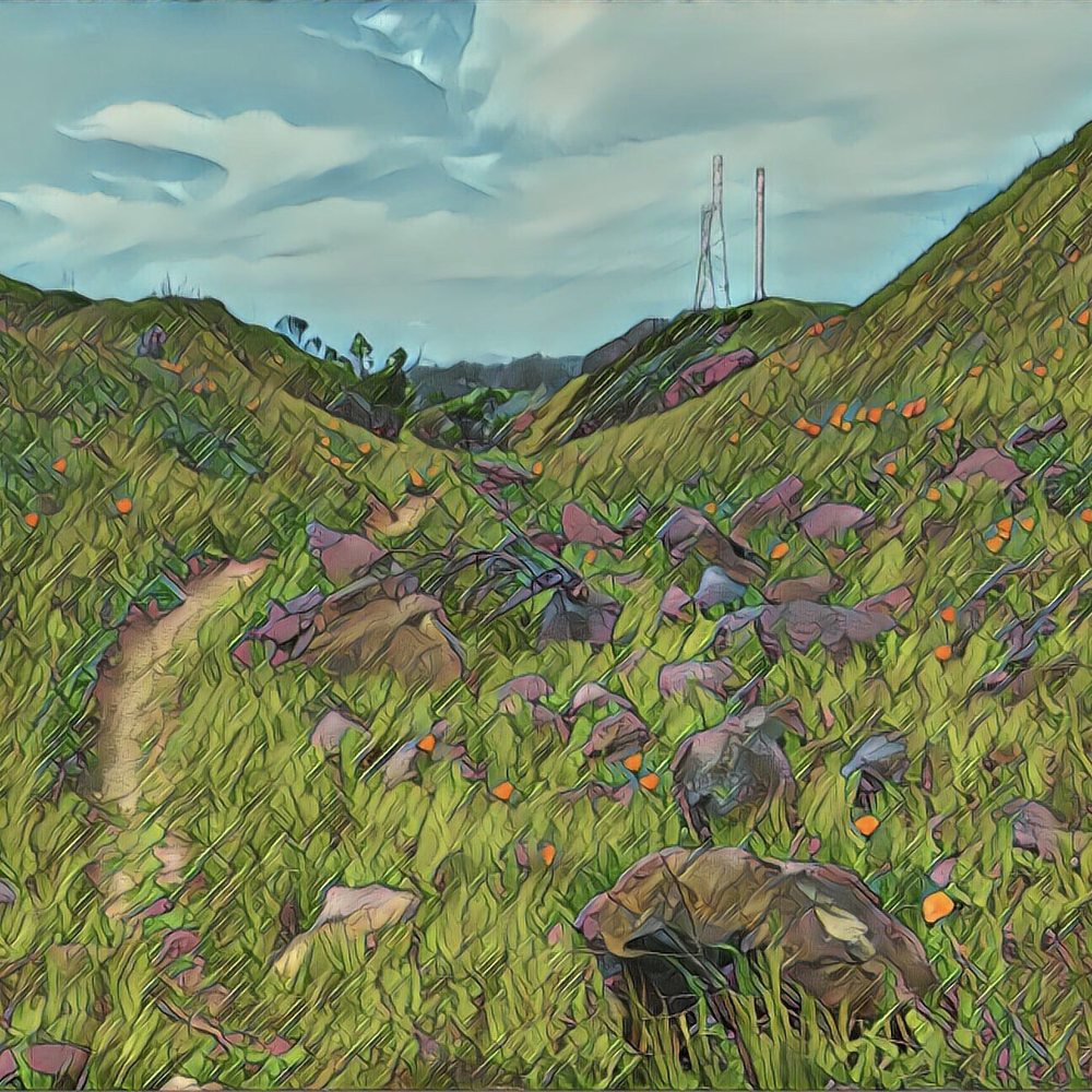 ROBERT SIBLEY VOLCANIC REGIONAL PRESERVE - 907 Photos & 157 Reviews ...