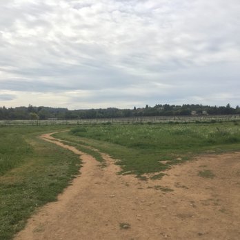 ALSTON PARK - 213 Photos & 75 Reviews - Dry Creek Rd, Napa, California ...
