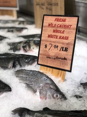 WEGMANS - 292 Photos & 274 Reviews - 53 Third Ave, Burlington ...