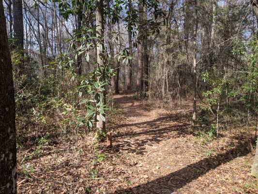 COLLETON STATE PARK OFFICE - Updated September 2024 - 19 Photos - 147 ...