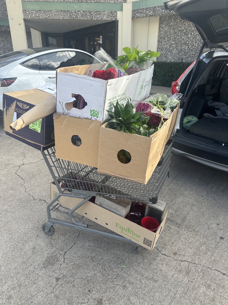 SOUTHERN FLORAL COMPANY - Updated January 2026 - 11 Photos - 1313 W ...