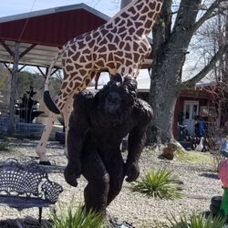 THE CONCRETE LADY - 21 Photos - 4910 Hwy 3, Otisco, Indiana - Masonry ...