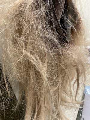 ABBA WIGS - 26 Photos & 24 Reviews - 1105 Kramer Ln, Austin, Texas ...