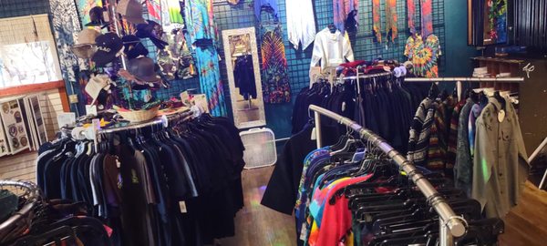 PARAMOUNT IMPORTS - Updated December 2025 - 47 Photos & 179 Reviews ...