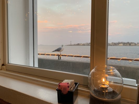 THE BARNACLE RESTAURANT - 177 Photos & 230 Reviews - 141 Front St ...